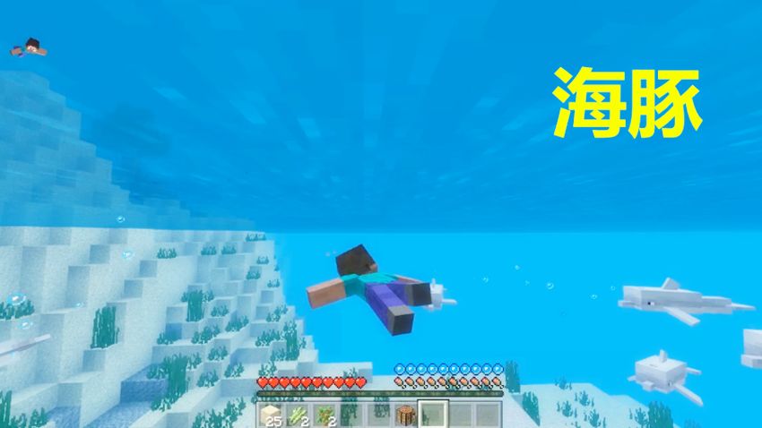 我的世界海洋生存01:首次进入海洋,一群海豚一直跟着我!