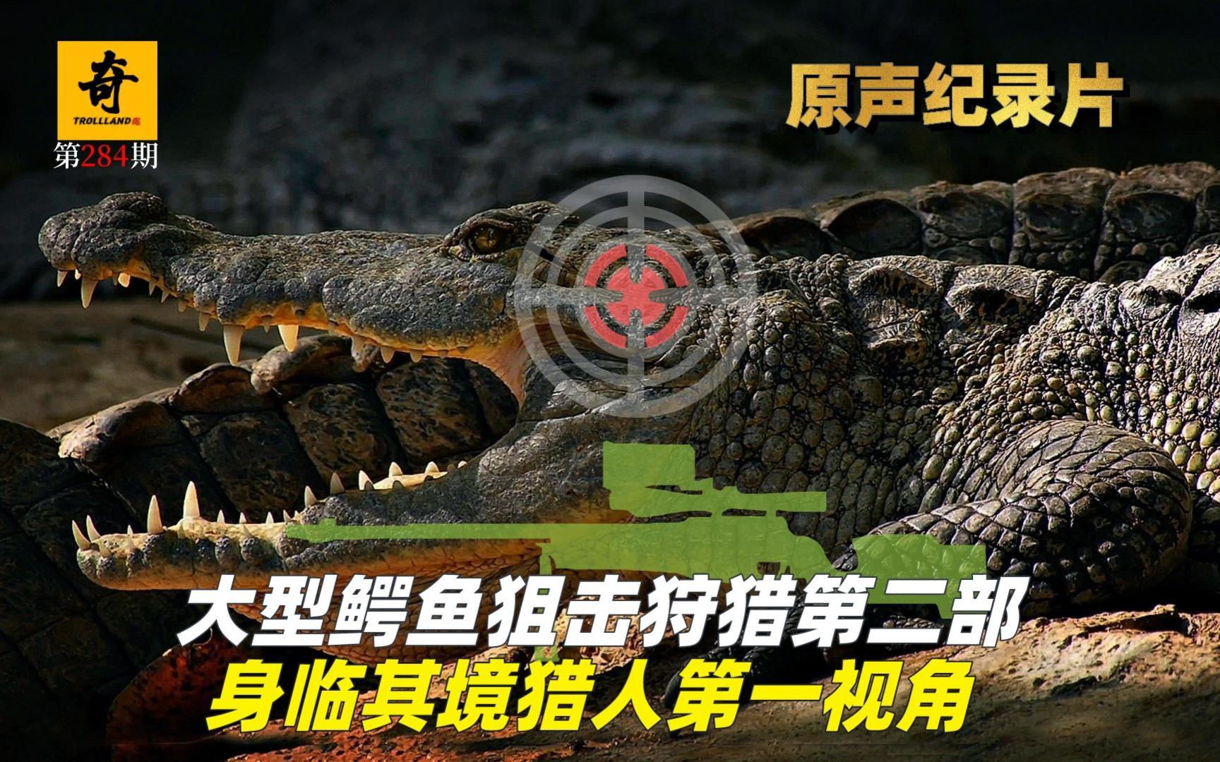 高清原声纪录片,大型鳄鱼狙击狩猎第二部,身临其境猎人第一视角
