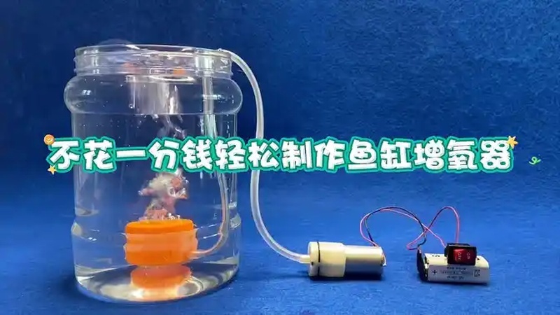 生活小妙招,不花一分钱教你轻松制作鱼缸增氧器,喜欢养鱼的试试