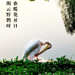 耳边风不点火 