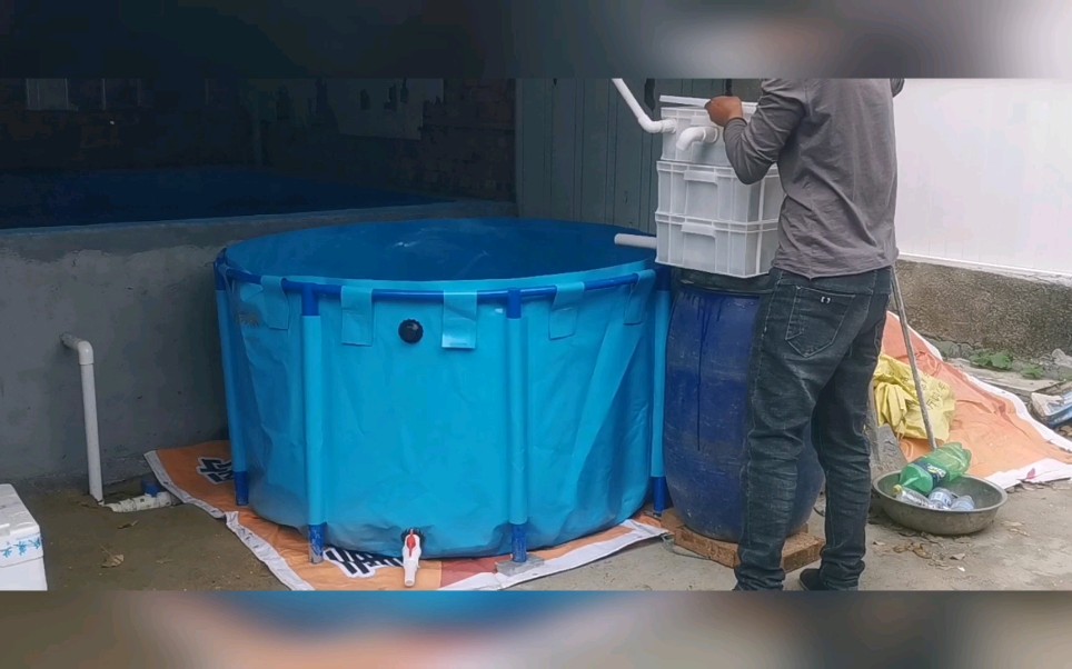 直径一米五的帆布池,配备三层自制周转箱过滤,简单方便效果好