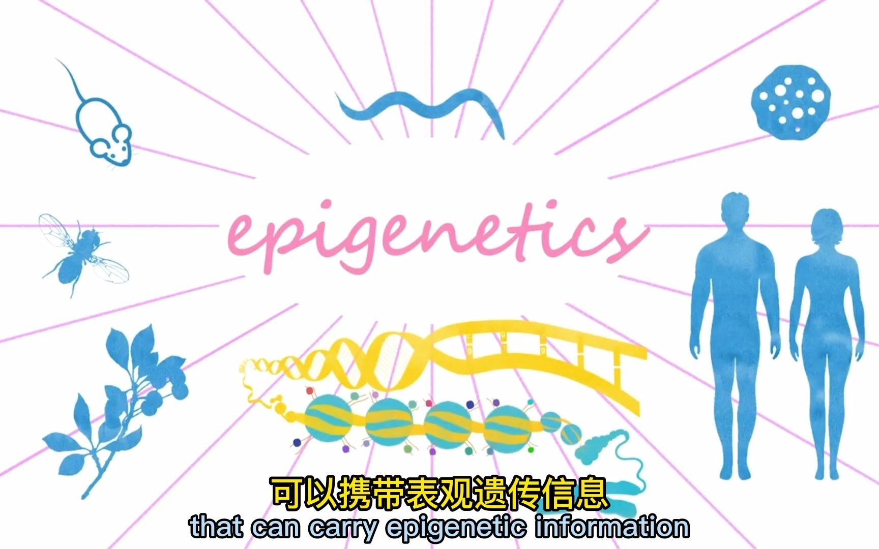 表观遗传学上的衰老意味着什么?