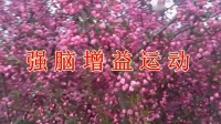 经络养生健身操 第28套 瑞雪红梅