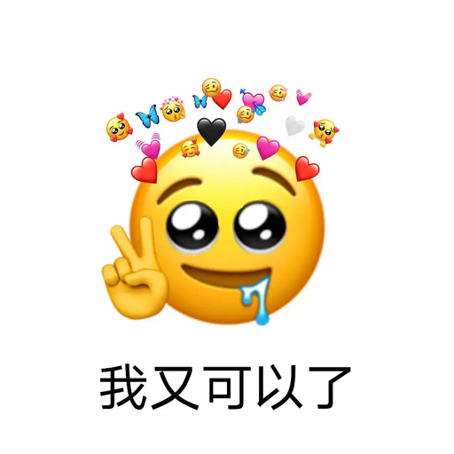 嗑西皮专用小马甲 