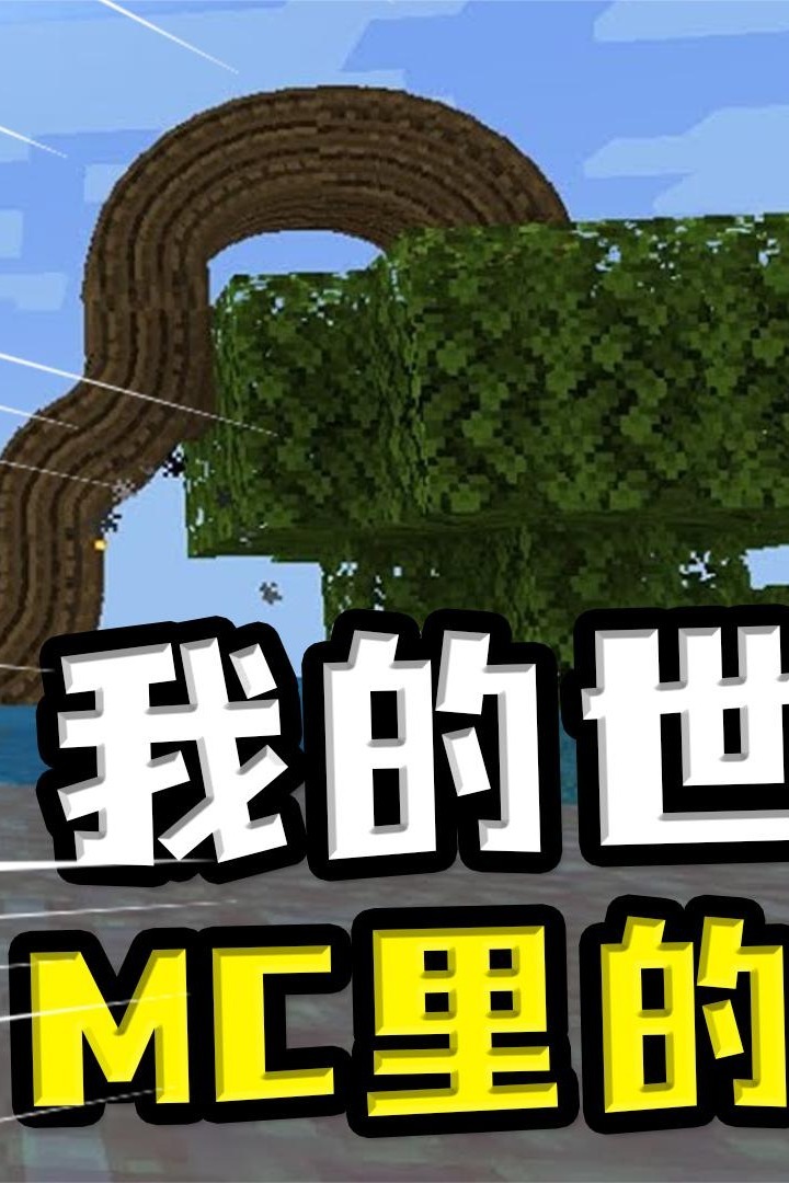 我的世界:你见过MC有哪些离奇物品?水附魔9999级锋利
