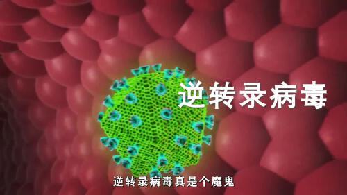 逆转录病毒:HIV感染细胞过程
