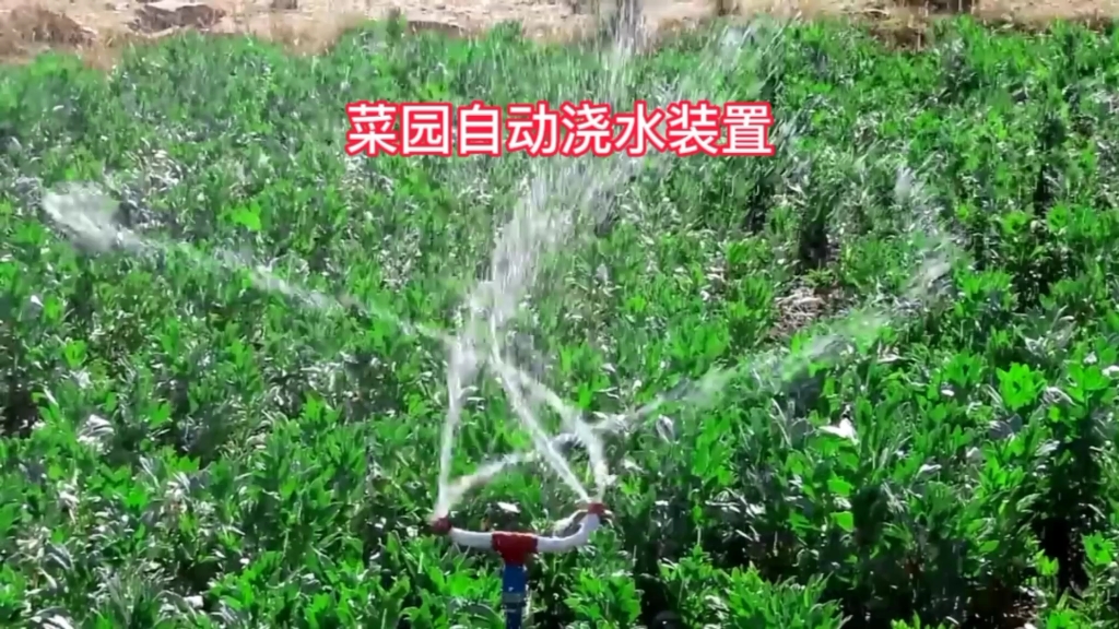 自制菜园自动旋转灌溉装置,可以360度无死角灌溉,省时省力又省水