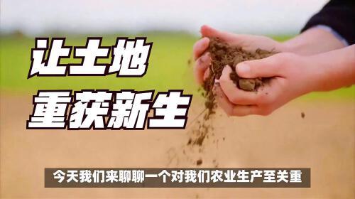 让土地重获新生:高效治理重金属污染土壤的秘诀