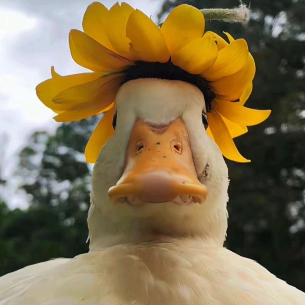 YUEMU_ 