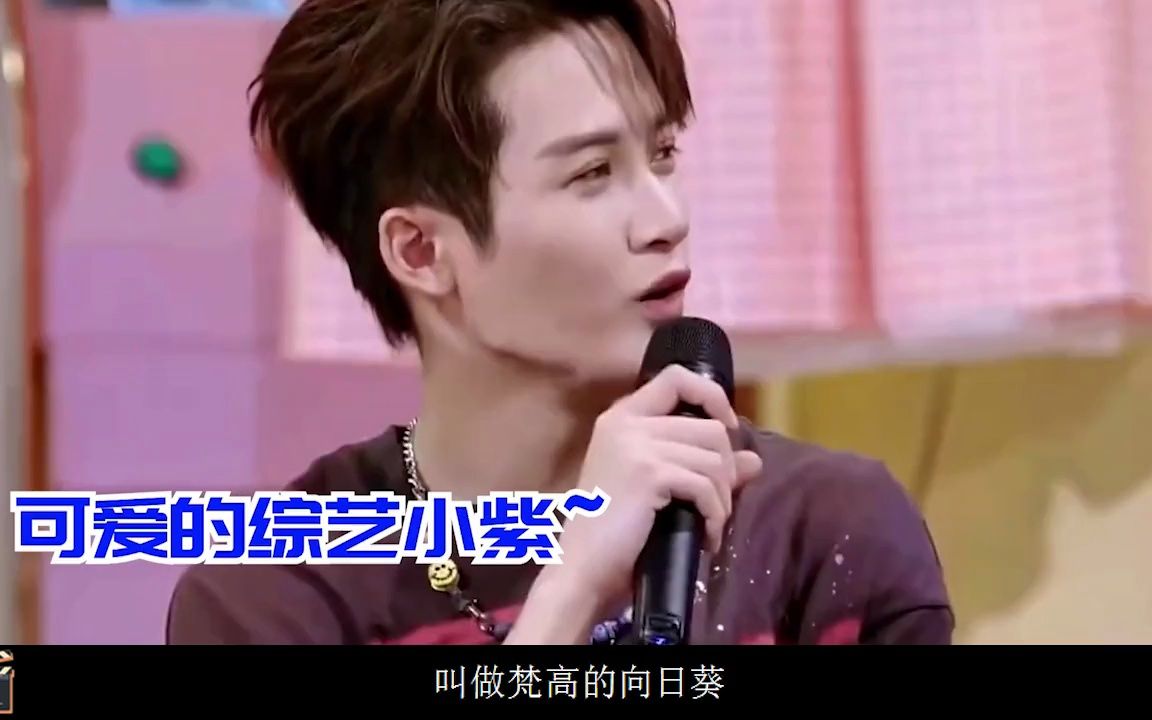 杨紫肖战关系瞒不住?杨紫在节目中下意识的回答,网友:太玄学了