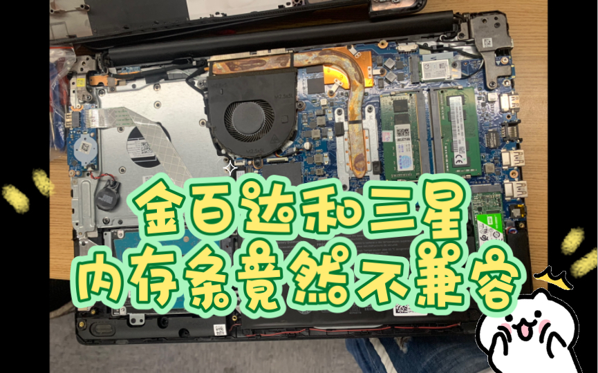 ...终于不会杀进程了,金百达和三星内存条竟然不兼容,害我买了两个～