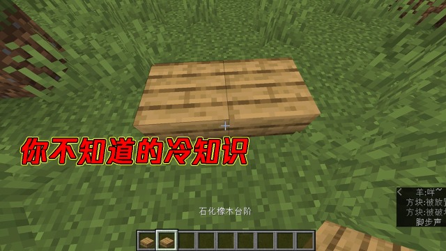 我的世界:无人知晓的MC冷知识!如何解锁超级隐藏.