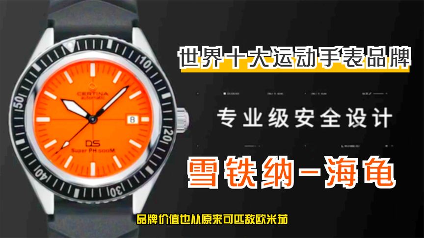 世界十大运动手表排名9#雪铁纳#手表