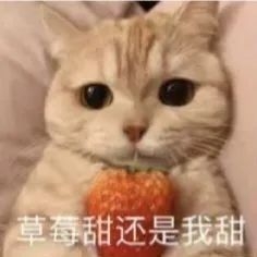 若梦浮晨 