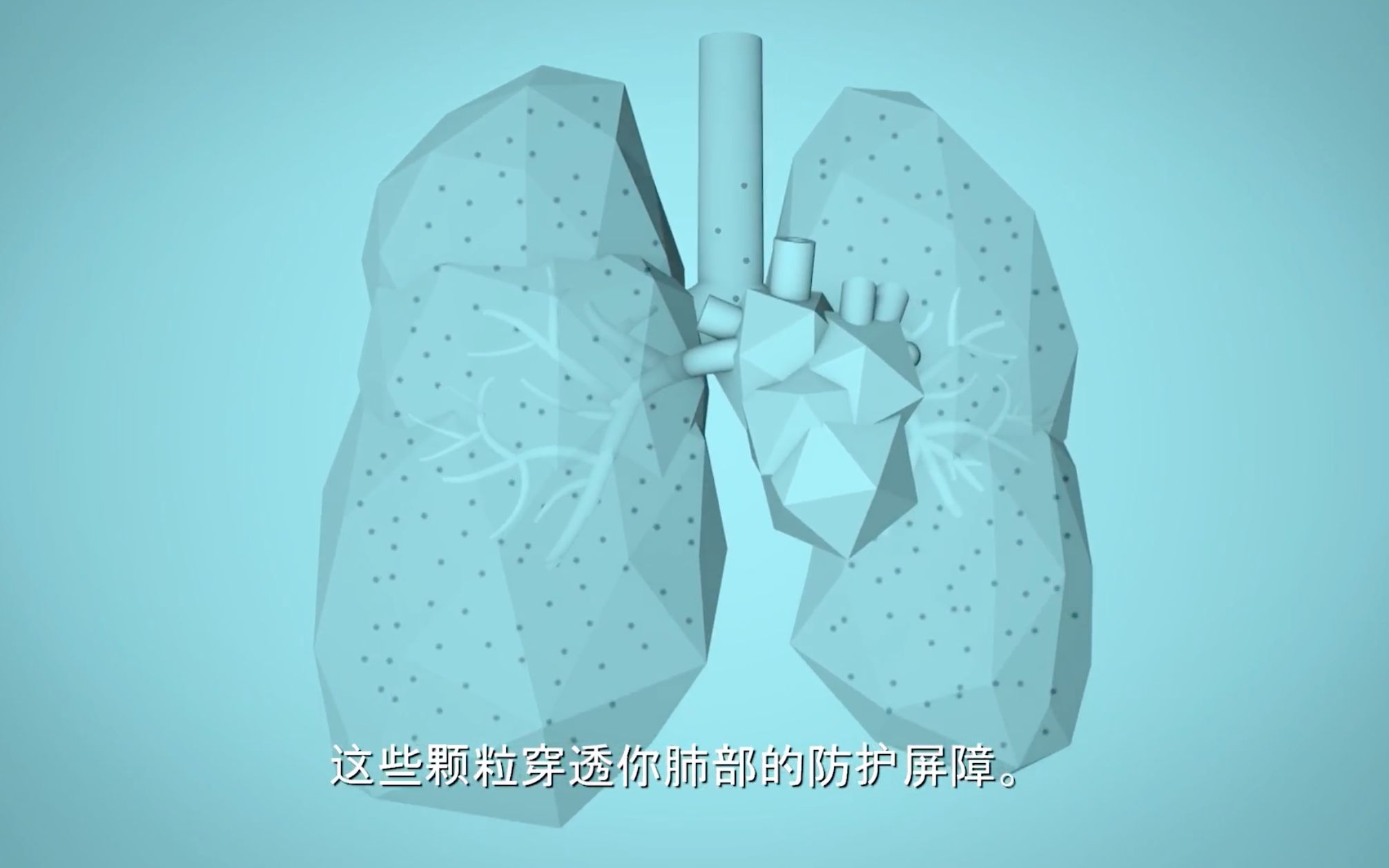 空气污染到底会如何影响我们的健康?