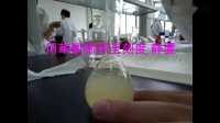 维生素C的定量测定(2,6-二氯酚靛酚滴定法)