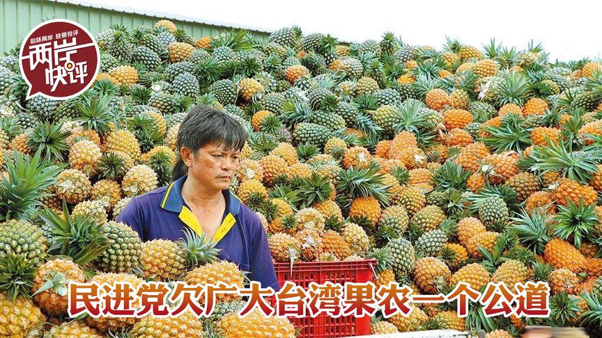 遇事就“甩锅”大陆?民进党,你们欠广大台湾果农一个公道