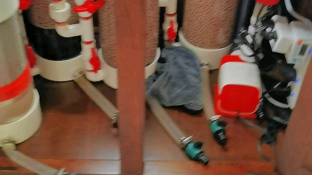 4月17日,换水维护记录。