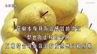 降温就感冒?教你用花椒蒸梨治感冒止咳嗽(原创)