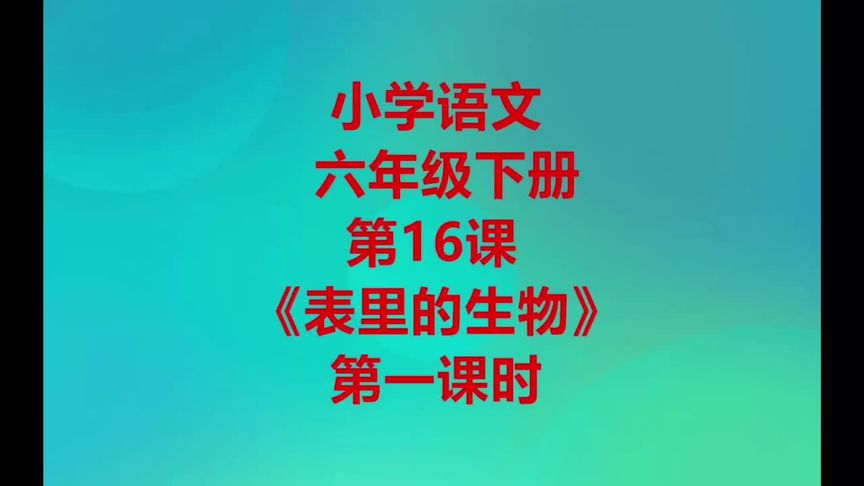 小学语文六年级下册16《表里的生物》第一课时