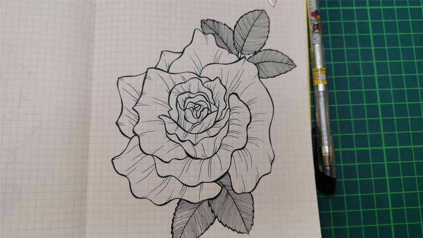 零基础针管笔线描画(花卉)系列~玫瑰花的画法2