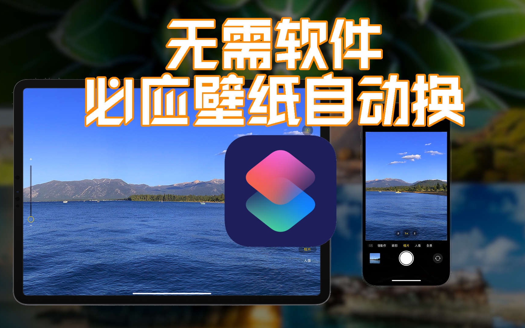 “要是我的iPhone iPad壁纸能每天同步必应美图就好了”