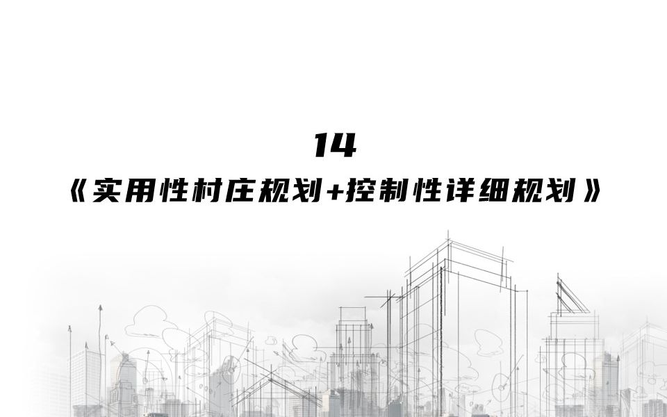 14:《实用性村庄规划+控制性详细规划》