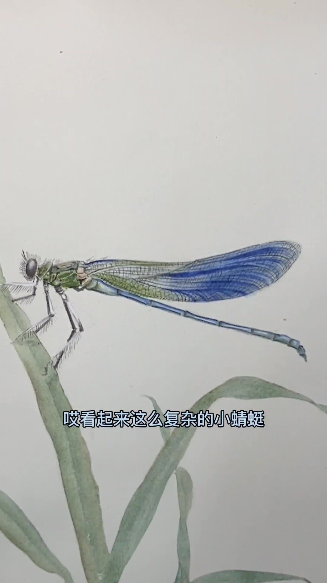 国画颜料和水彩颜料都可以用,国画用笔,水粉用笔都.