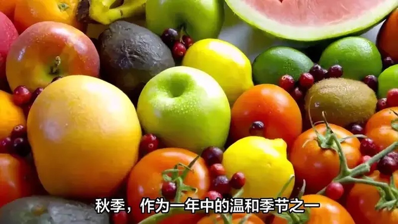 秋季做试管,饮食上应该注意什么