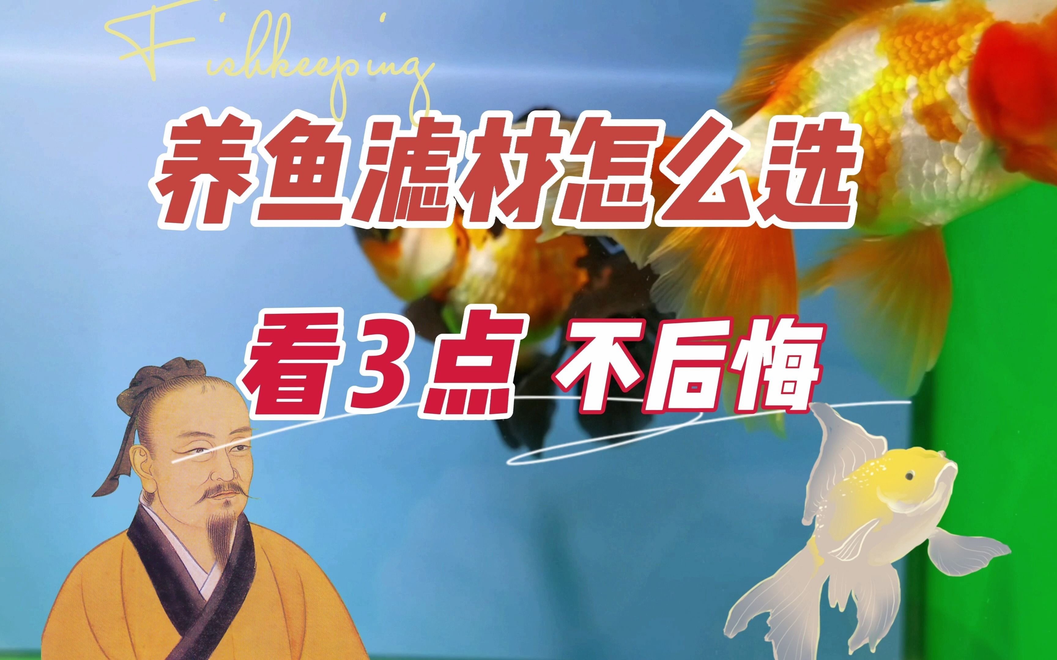 养鱼滤材怎么选,只看这三点,不花冤枉钱:养鱼笔记第3季27集