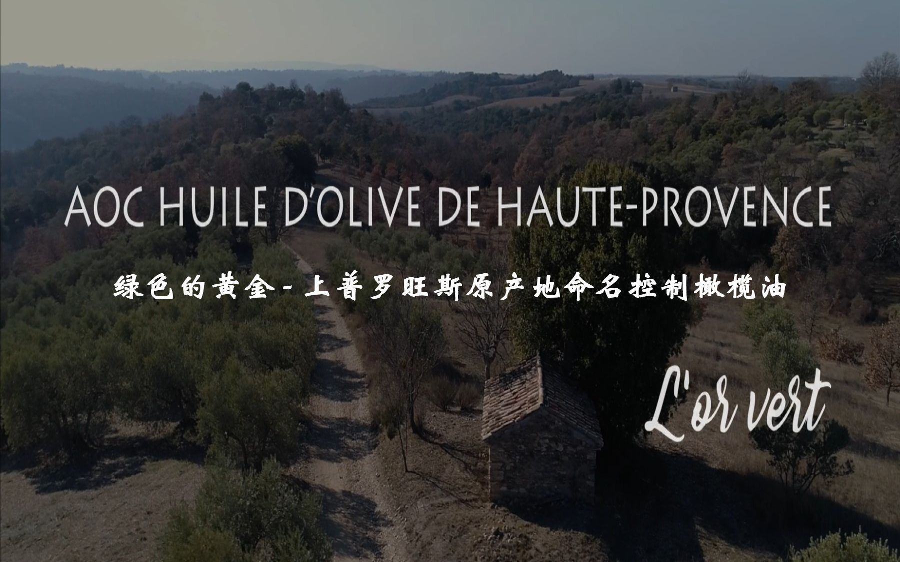 强哥说普罗旺斯 | 上普罗旺斯原产地命名控制橄榄油AOC Huile d'Olive ...