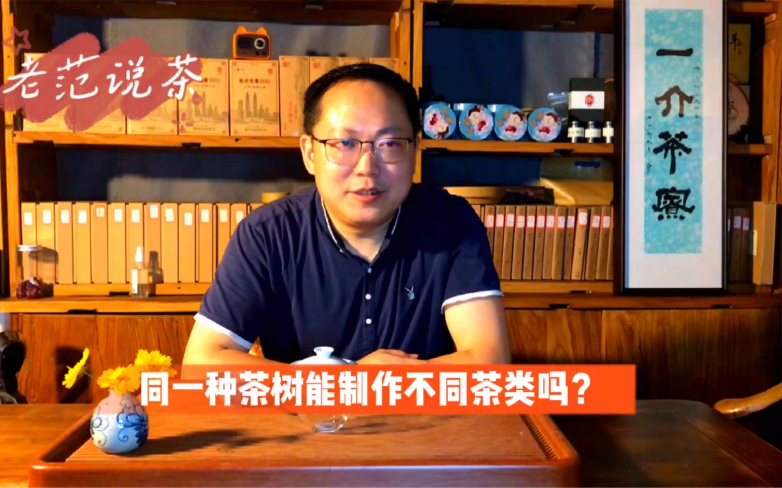 老范说茶——同一茶树能制作不同种类的茶吗?