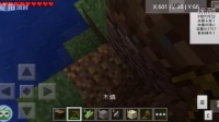 皮卡～皮卡的我的世界单人生存记1-2