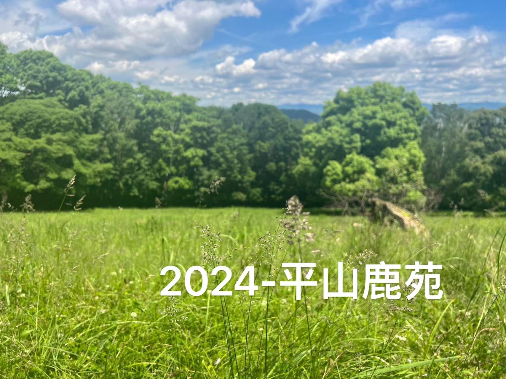 【2024高三社会实践vlog】山川相繆,星河相依。