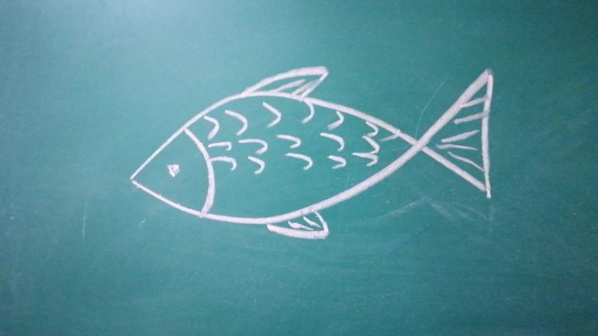 最好画的鱼,鱼的简笔画6笔成型