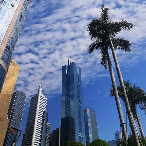 丽丽丽的视角 