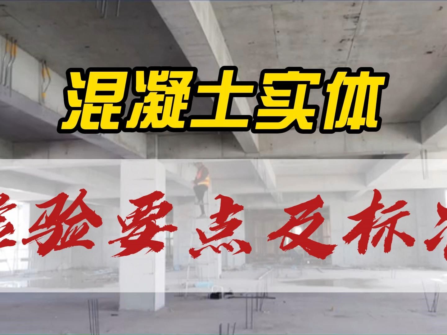 混凝土实体检验要点及标准