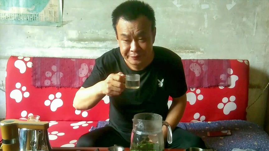 无花果叶晒干泡水喝是什么味道?又有何功效?赵哥亲身试试感受下
