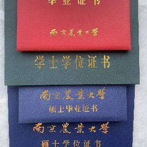 南农本校赢硕学长 