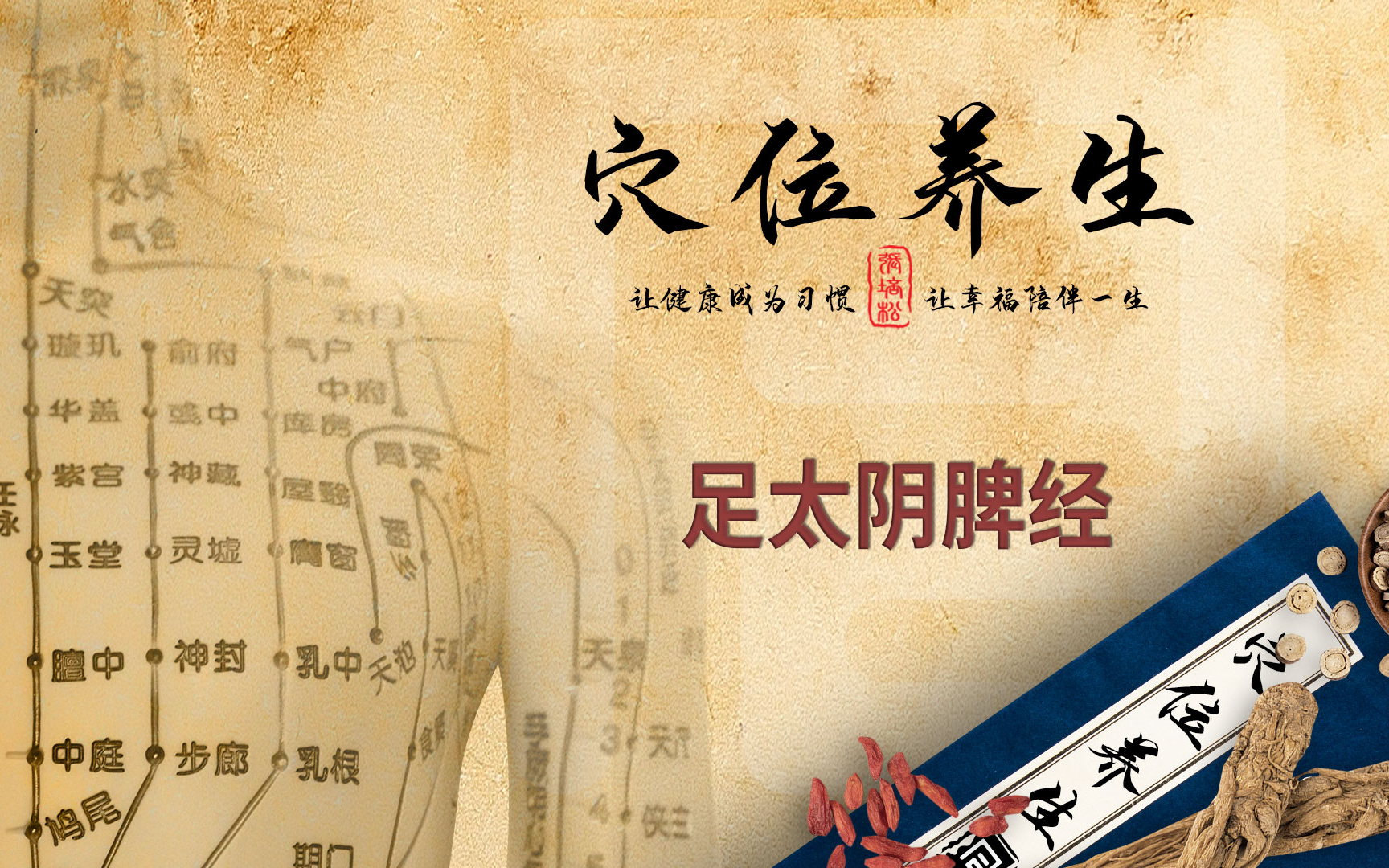 经络穴位养生 - 足太阴脾经