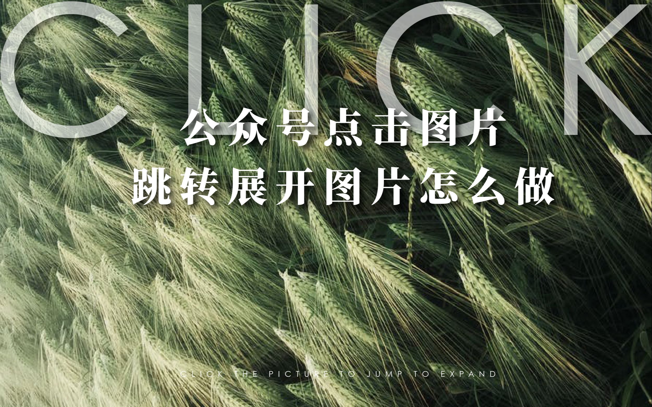 公众号点击图片跳转展开图片怎么做