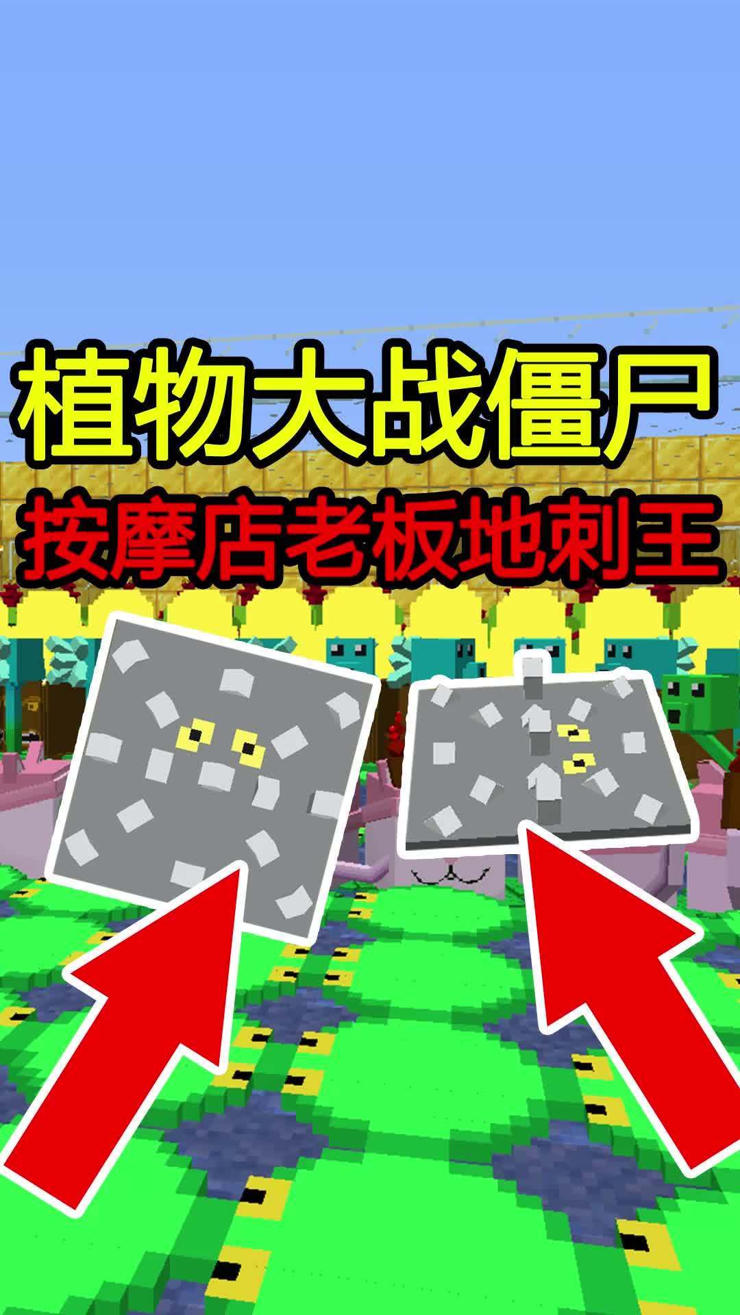 我的世界:植物大战僵尸,第三十一期!兄弟们!