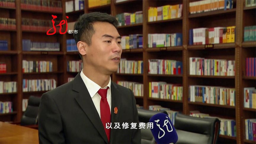 法官说法典:生态环境损害之后 该由谁来负责修复