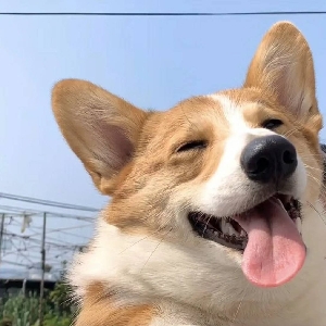 你是空气我的命i 