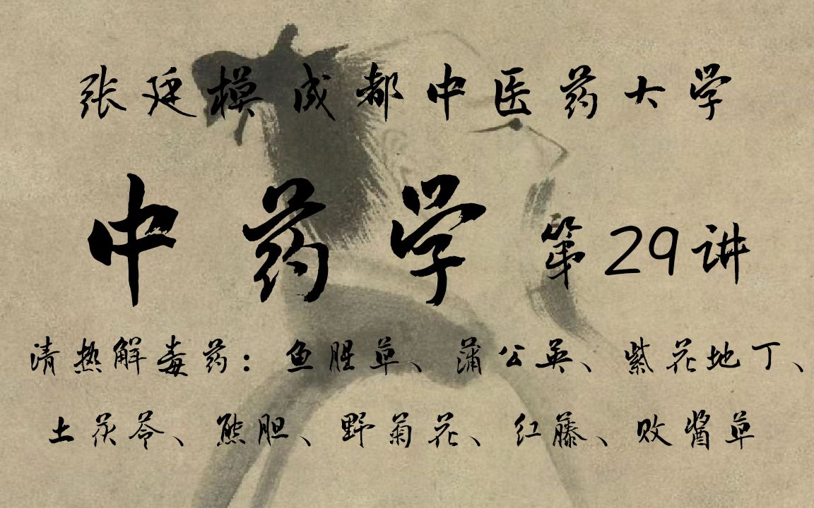 ...药:鱼腥草、蒲公英、紫花地丁、土茯苓、熊胆、野菊花、红藤、败酱草