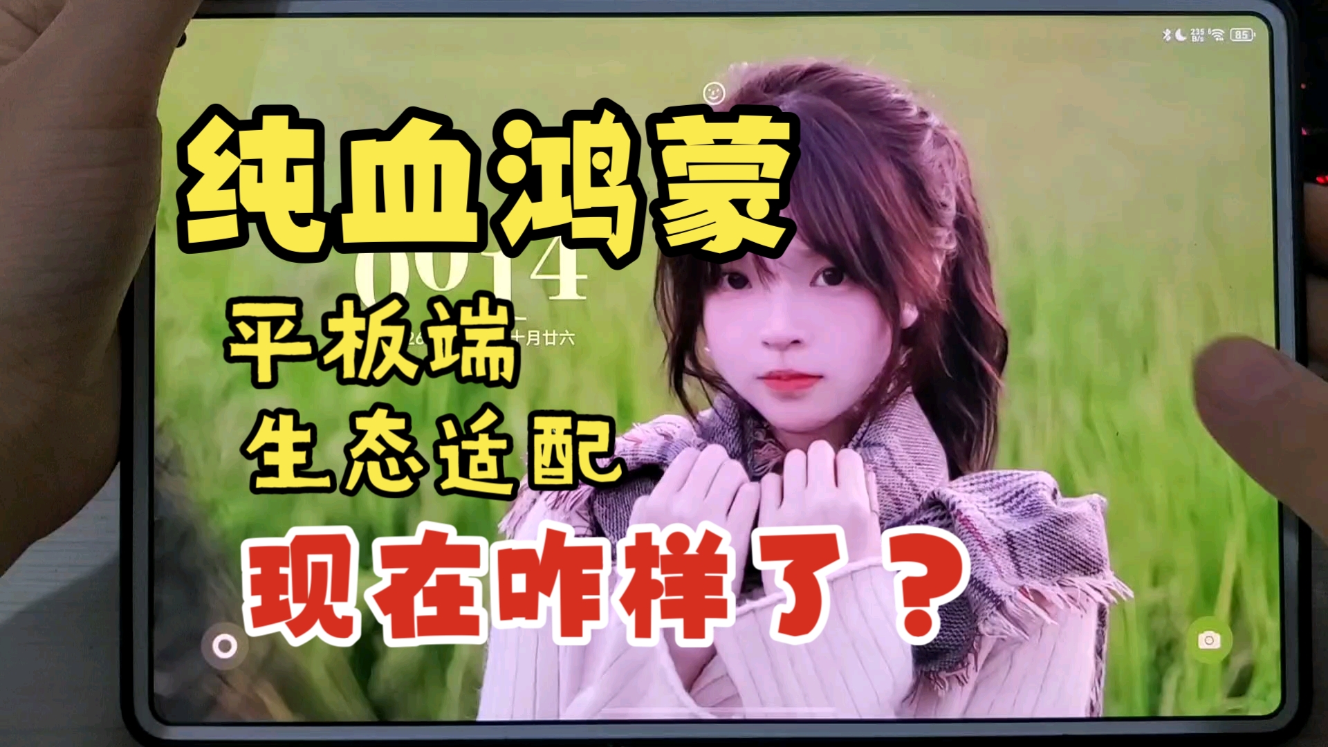 HarmonyOS NEXT:Mate70都发布了,那么纯血鸿蒙平板生态进展又如何...