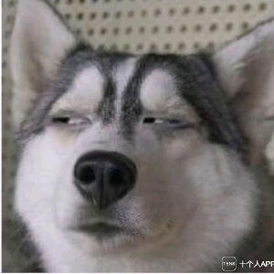 不知道做什么的人类 
