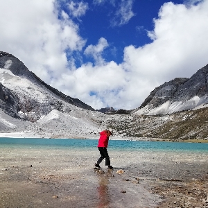 我是小海豚呀呀 