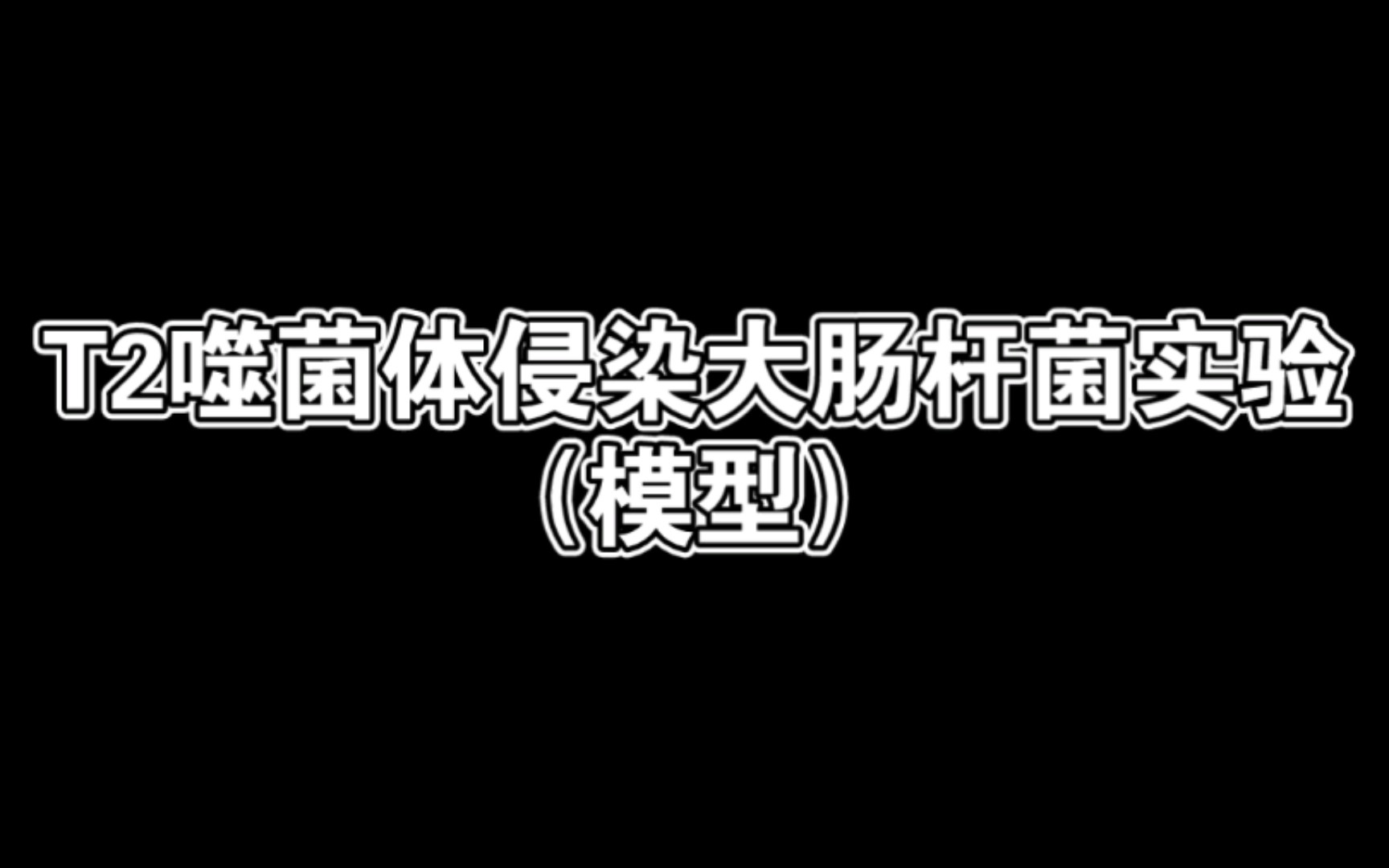 T2噬菌体侵染大肠杆菌实验(模型)