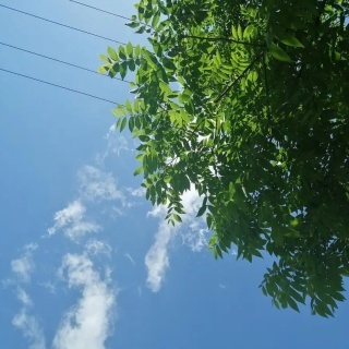 爆笑豆豆